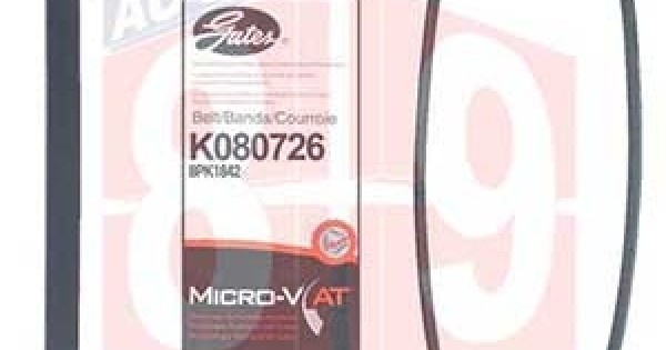 CORREA MICRO-V 8PK1842 INTERNATIONAL DT466 DT444 1819391C2